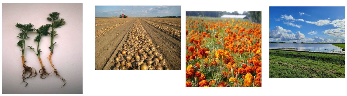 Soil health – IPMworks