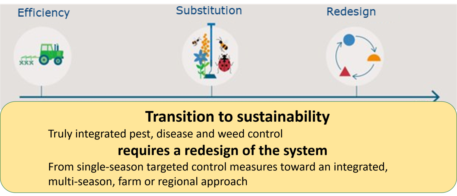 Integrated Crop Management (ICM) – IPMworks